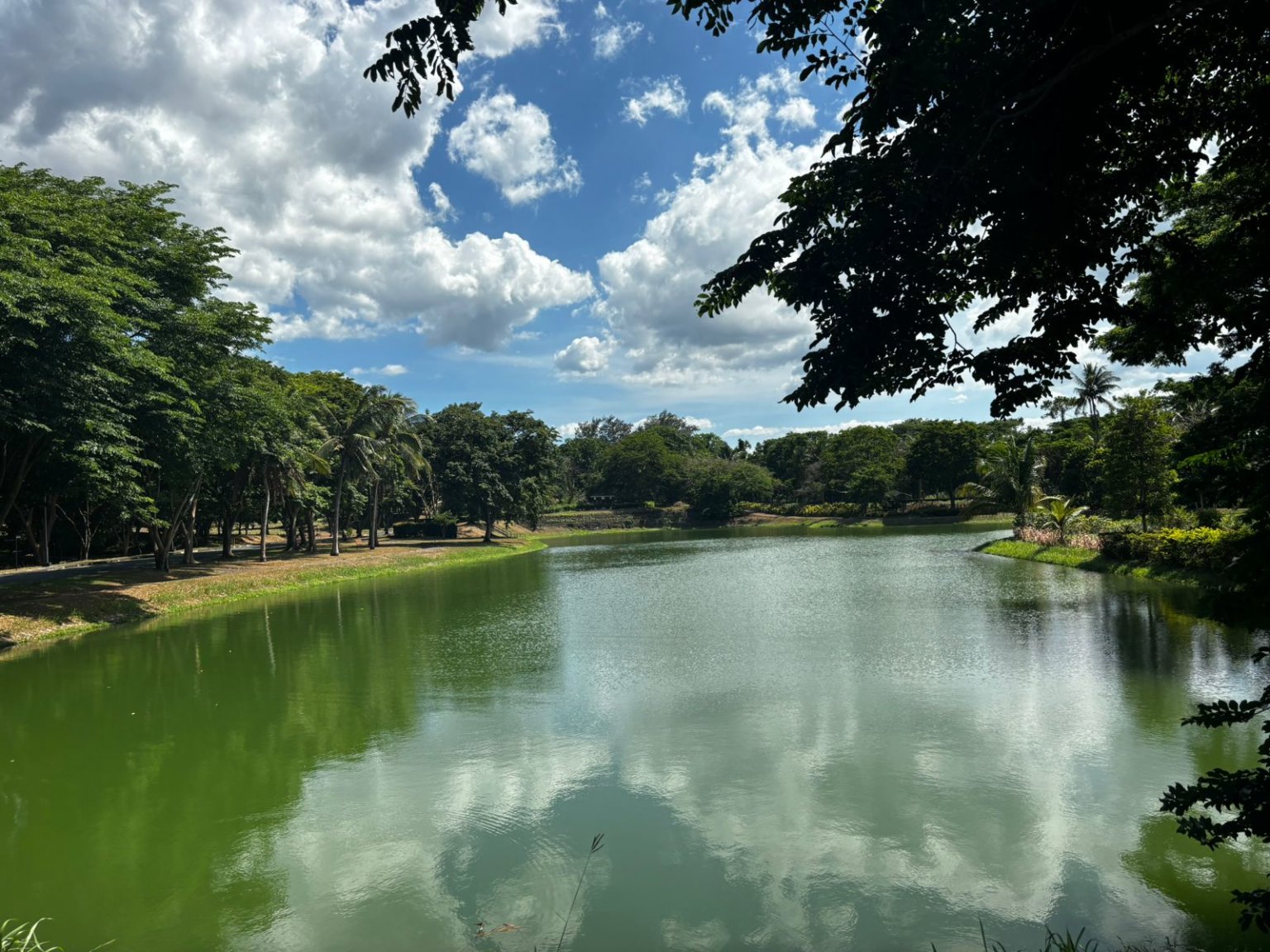 MONTECITO, Ayala Land Premier in Nuvali, Laguna – Remax Unlimited